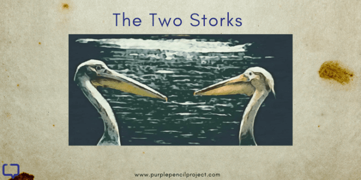 The Two Storks : A Story - Purple Pencil Project