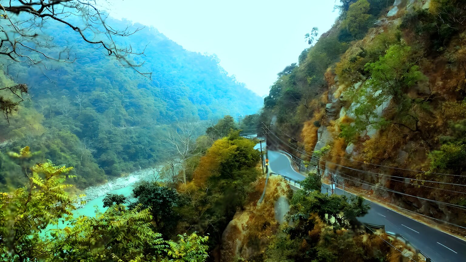 Provincials by Sumana Roy: A Love Letter to All Frogs Who Jumped out of ...