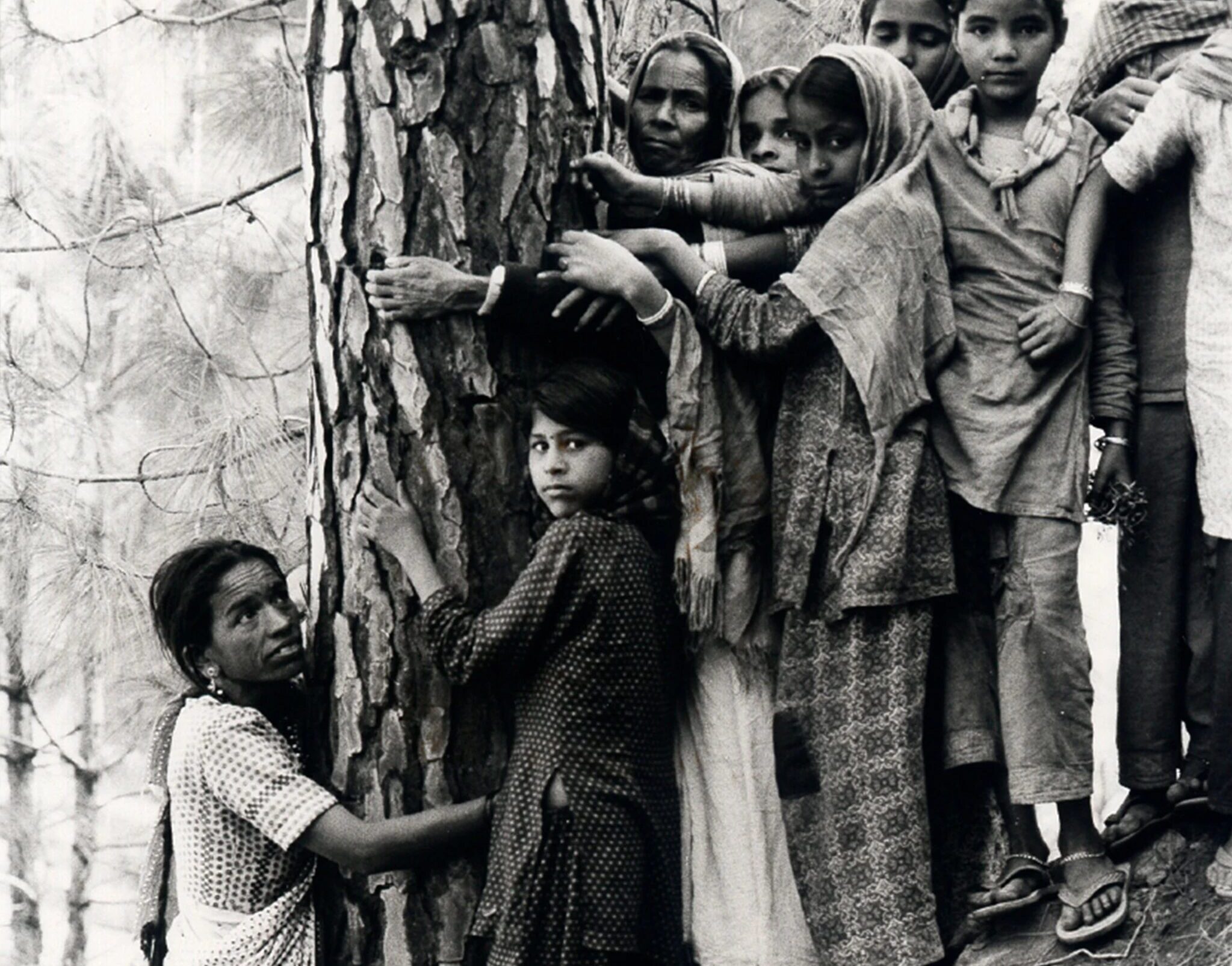 Chipko Movement: How Grassroots Activism Changed Environmental Laws ...